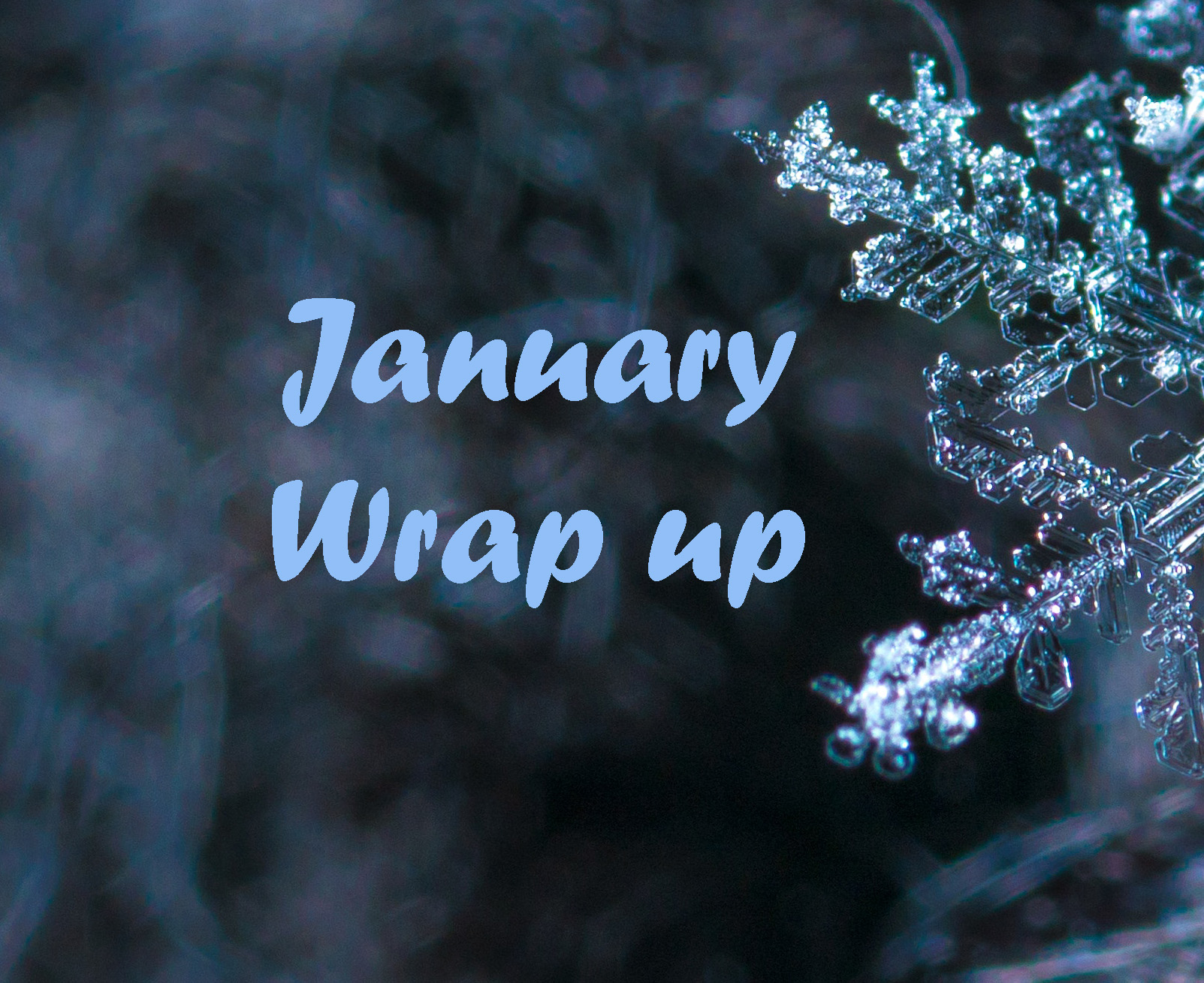 Monthly Wrap Up: January - Between the Shelves