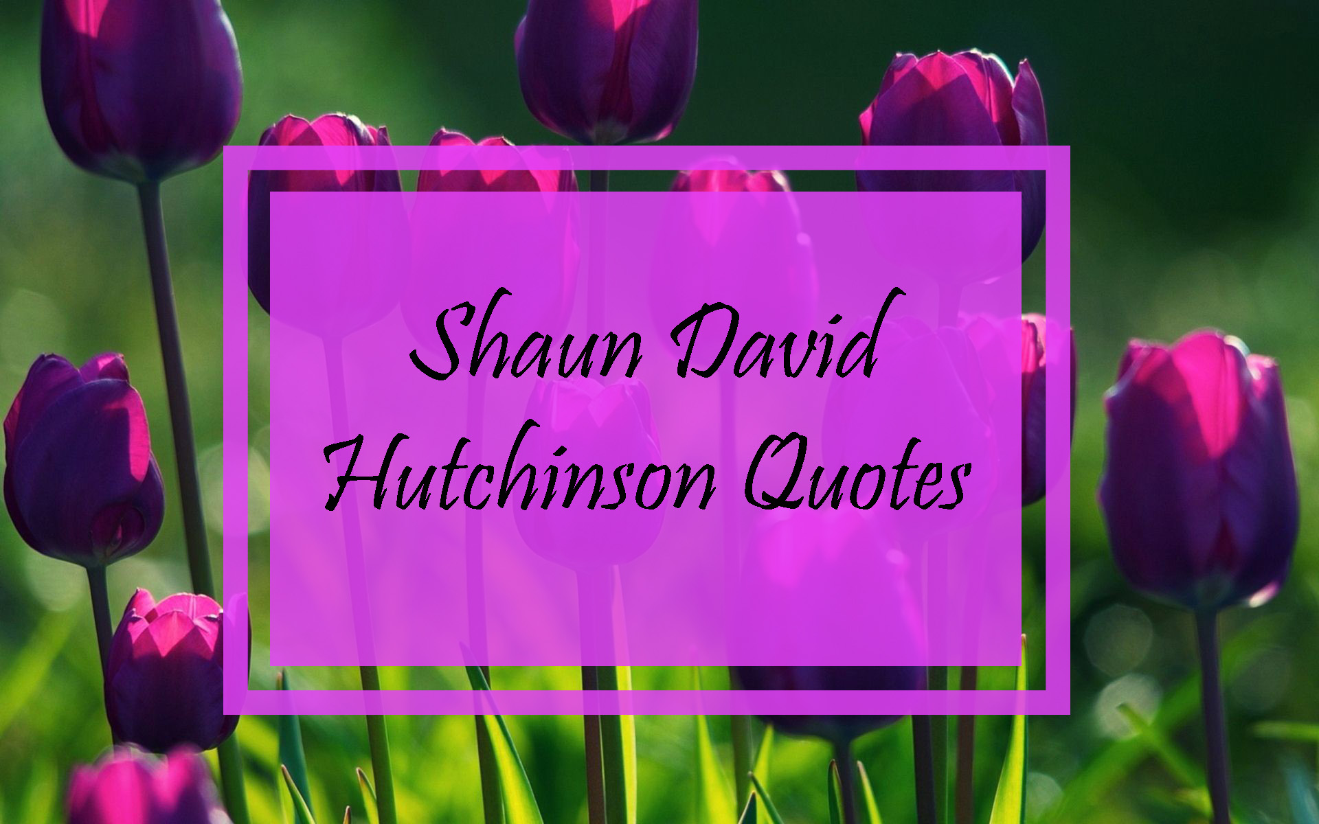 Shaun David Hutchinson Quotes to Celebrate BRAVE FACE